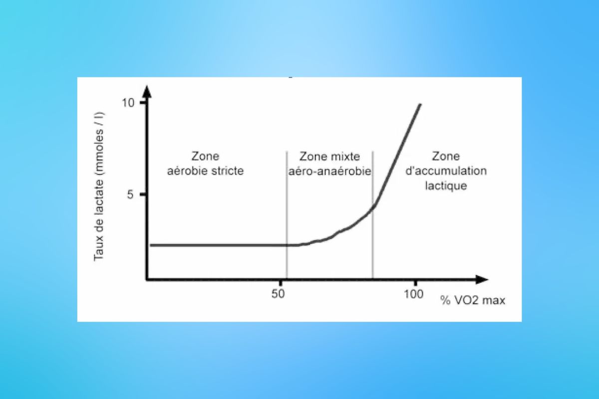 Seuils ventilatoires SV1 et SV2 : Comment les connaître
