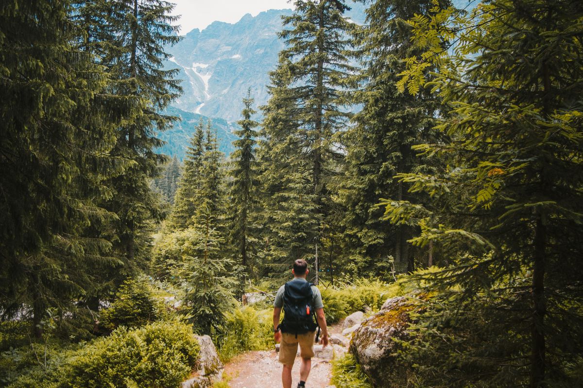 VMA Ascensionnelle : Comment la calculer et pourquoi c’est important