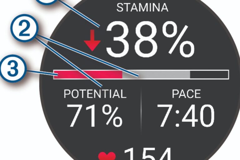La fonction "Stamina" sur Garmin : vraie révolution ou gimmick marketing