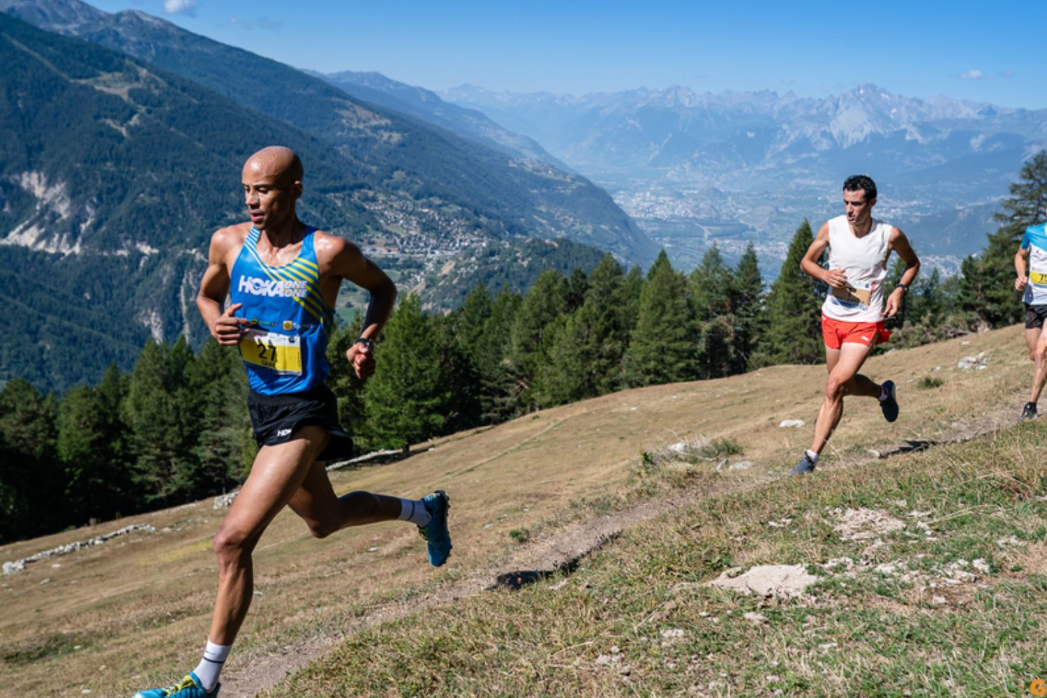 Comment regarder Sierre-Zinal 2025 en direct live gratuitement depuis ...