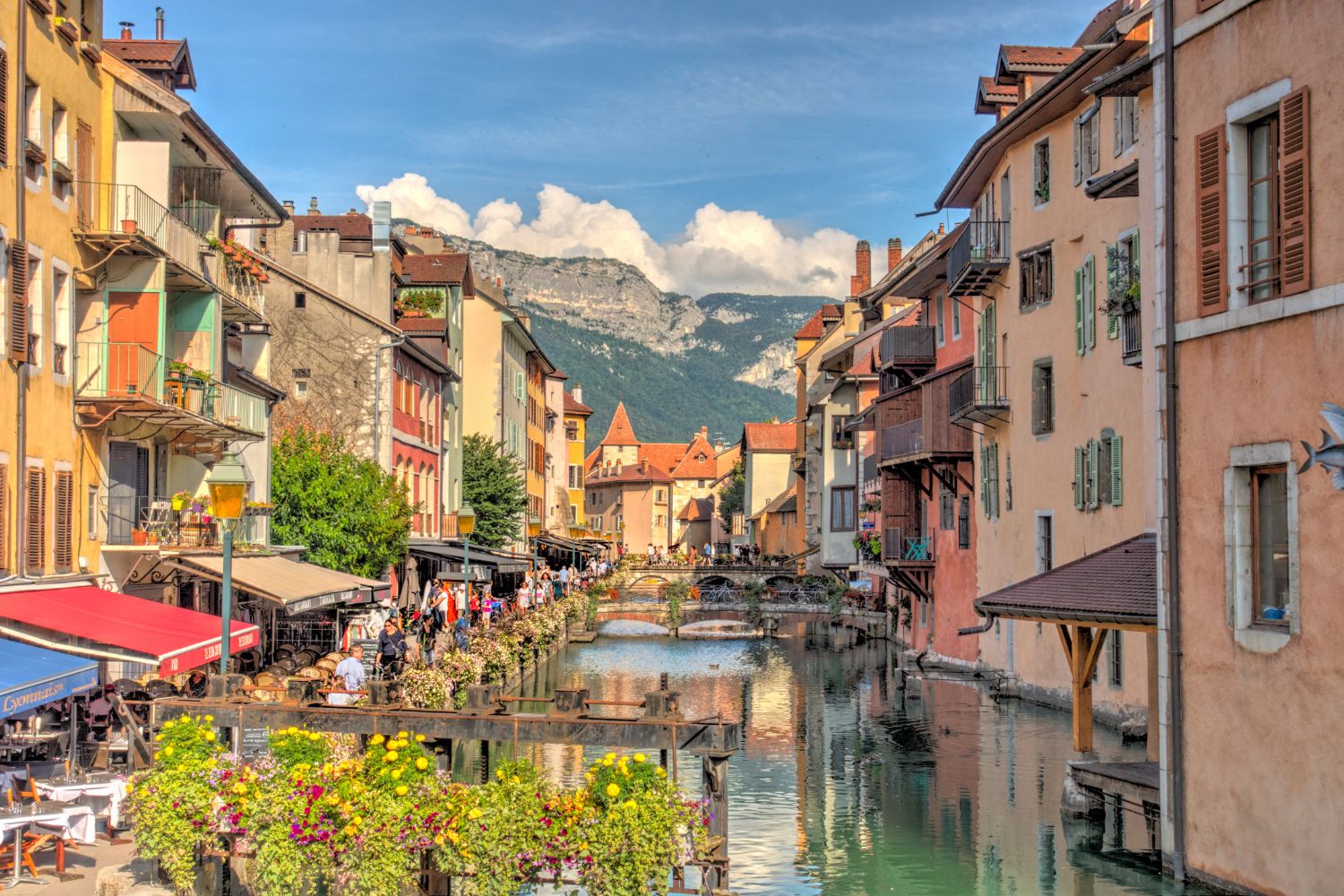 Marathon d'Annecy 2026 : Parcours, date, organisation